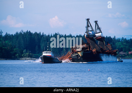 Transporting timber logs by ship Stock Photo - Alamy