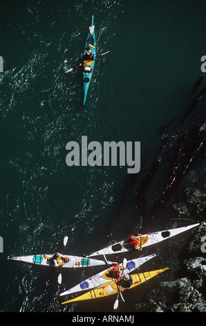 Kayaking top view. Group of kayaks rowing. Kayaks float on the river ...