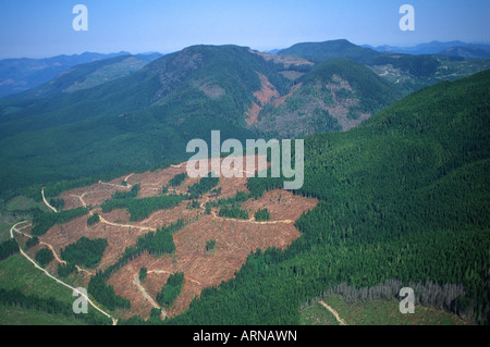 CANADA, BC, VANCOUVER ISLAND CLEARCUT WITH REPLANTED TREES Stock Photo ...