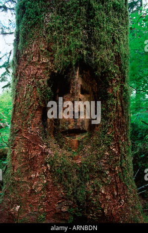 Woss Lake - face carved into spruce tree at entrance to grease trail ...