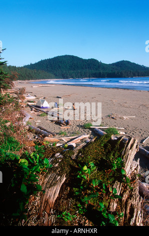 north-west, Raft Cove, woman camping , Vancouver Island, British ...