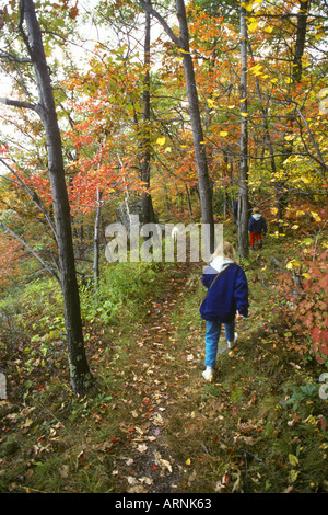 Autumn colours in the Catskills, USA. Photographed in October near ...