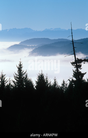 Scenic View from Malahat Drive Summit, Vancouver Island, BC, British ...