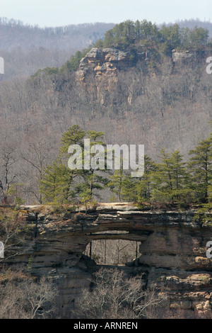 Red river gorge double arch Daniel boone national forest kentucky Stock ...