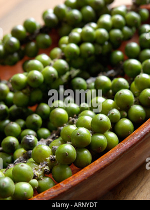 Pepper plant (Piper nigrum) climbing a teak tree, Coorg, Karnataka ...