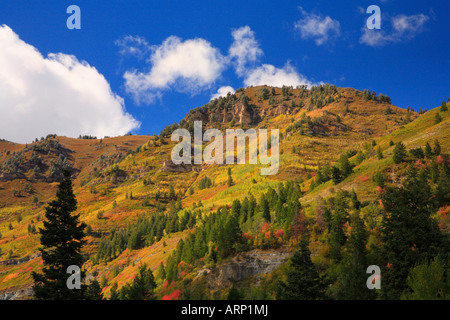 Mount Timpanogos, Alpine Loop, Provo, Utah, USA Stock Photo - Alamy