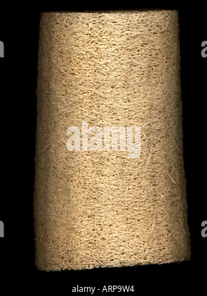 Smooth Loofah (Luffa aegyptiaca Stock Photo - Alamy