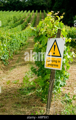 Insecticide spraying in English Vineyard Stock Photo - Alamy