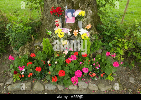 a memorial next to the A591 road near windermere in memeory of a young ...