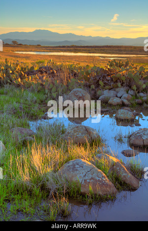 Early morining sunrise over the vernal pools Santa Rosa Plateau ...