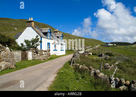 White Scottish Highland croft cottage with blue door and grazing sheep ...