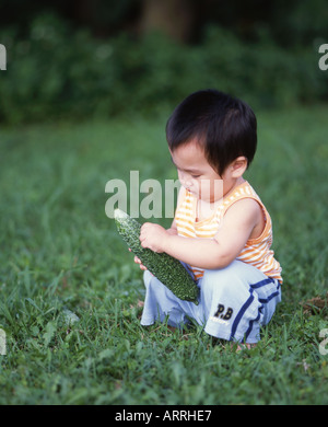 Okinawan baby playing with goya - bitter melon. Goya is thought to help ...