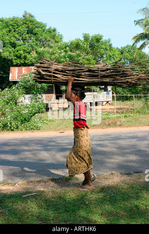 Burmese woman carrying wood on head and smoking traditional cigar ...