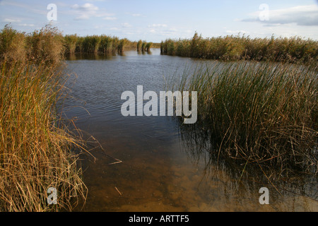 LAKE DURANKULAK Bulgaria Stock Photo - Alamy