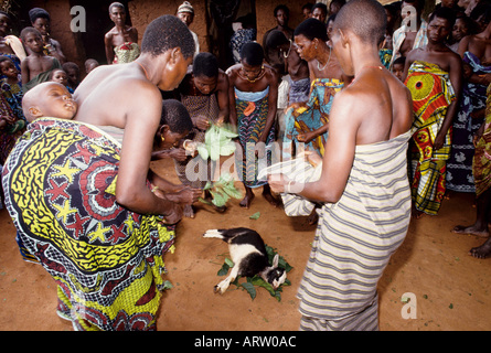 The ceremony begins with an enactment of Voodoo Kills a Goat An ...