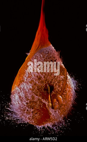 water balloon bursting on black background Stock Photo - Alamy