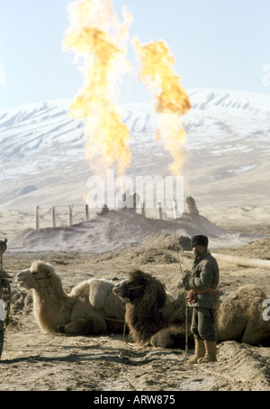 Taklamakan Desert, Bactrian Camels Stock Photo - Alamy