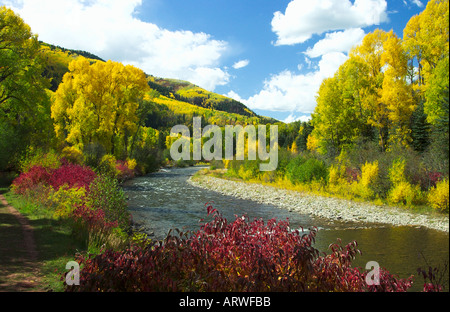 Fall foliage along Colorado 145 and the Dolores River USA Stock Photo ...
