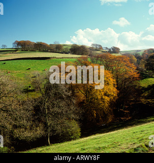 Visitors hike through the colorful autumn foliage in the northeastern U ...