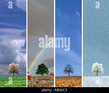 Spring, Summer, Fall and Winter. Four seasons photographed in the same ...