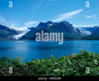 Engabreen glacier descending from the Vestre Svartisen snowfield seen ...