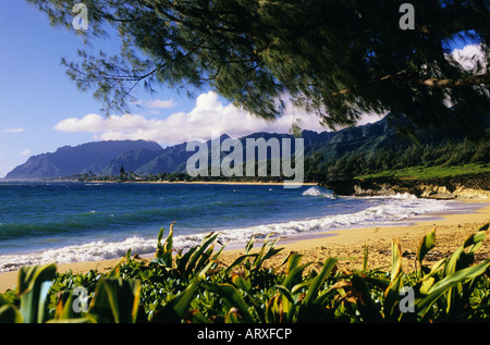 Pounders Beach Hauula Oahu Hawaii USA Stock Photo - Alamy