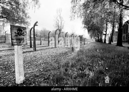 "Halt stoj!", Stop sign with skull in Auschwitz, nazi concentration ...
