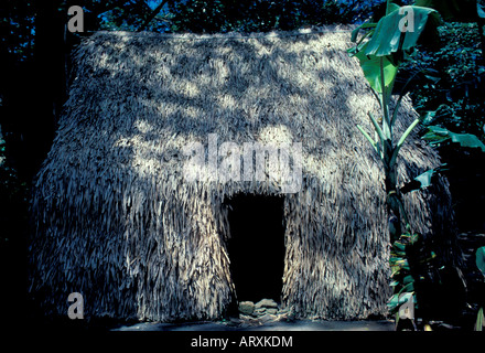 Traditional Hawaiian Hut Stock Photo - Alamy