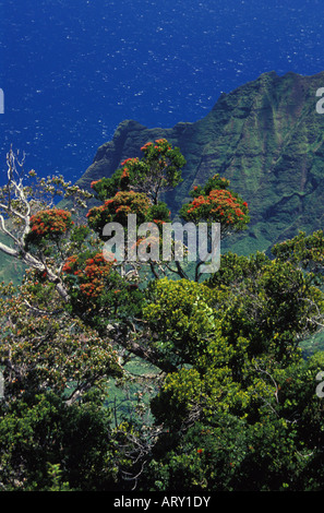 Hawaii, Kauai, Kalalau Valley, Lehua Trees Silhouetted At Sunset, Pink ...