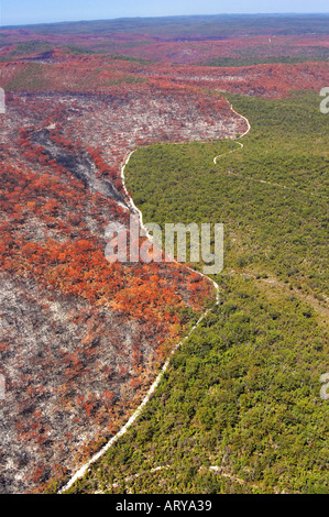 Results of Bush Fire K'gari / Fraser Island Queensland Australia aerial ...