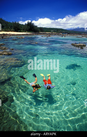 Children (age 8) snorkel in the tidal pools of Sharks Cove (Pupukea ...