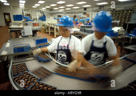 Workers on the chocolate assembly line at the Mauna Loa Macadamia Nut ...