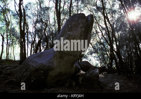 Kaule o Nanahoa (Phallic Rock) located at Palaau State Park, Molokai ...