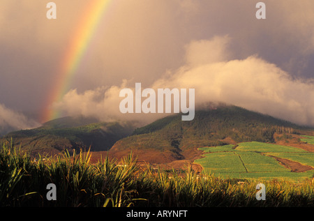 Rainbow over the West Maui Mountains above Lahaina Town and freshly ...