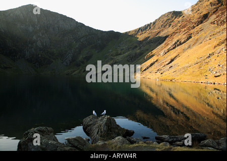 Llyn Cau lake on Cadair (or Cader) Idris July 2021 Stock Photo - Alamy