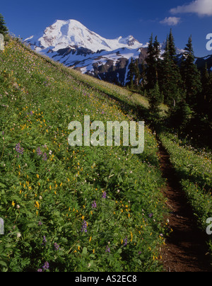 Skyline Divide hiking trail, Mt. Baker-Snoqualmie National Forest ...