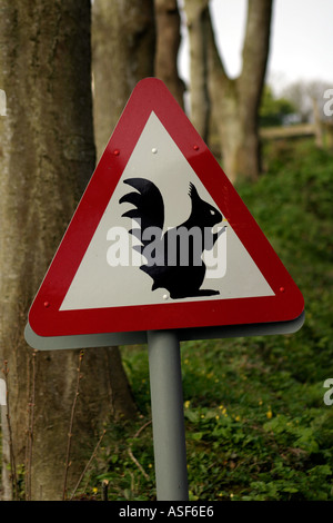 RED SQUIRREL ROADSIDE WARNING SIGN HIGHLANDS SCOTLAND Stock Photo - Alamy