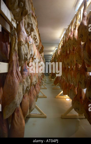 ham in cold storage house Stock Photo - Alamy