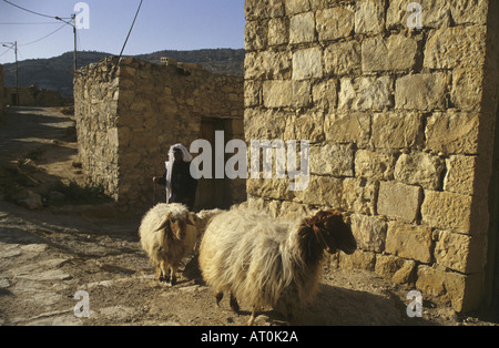 Rural scene of Dama Jordan Stock Photo - Alamy
