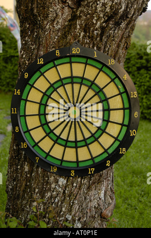 disc target pinned on a tree Stock Photo - Alamy