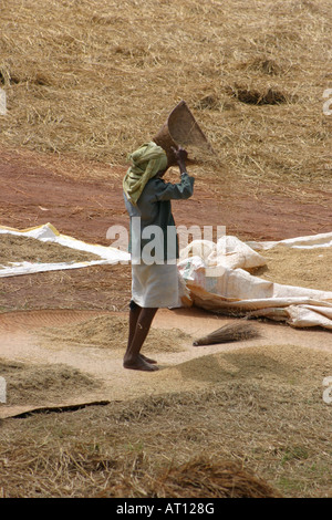 agriculture, field work, agricultures, field works Stock Photo - Alamy