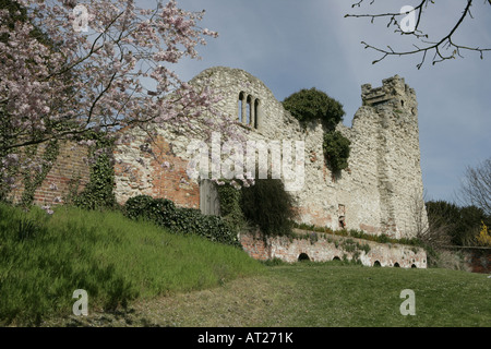 Ruins of Wallingford Castle was built in Norman times by Robert Doyley ...