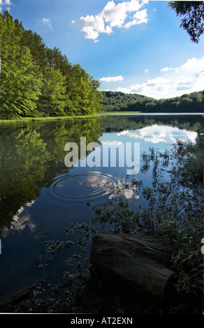 Yellowwood Lake, Yellowwood State Forest, Indiana Stock Photo - Alamy