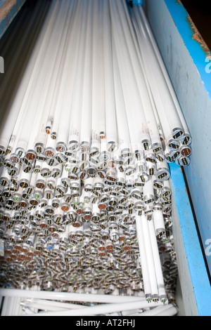 Fluorescent lamp for recycling in a container Stock Photo - Alamy