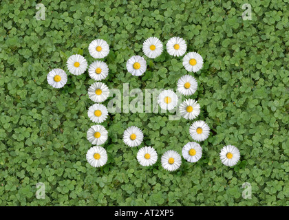 number 13 written with flowers Stock Photo - Alamy