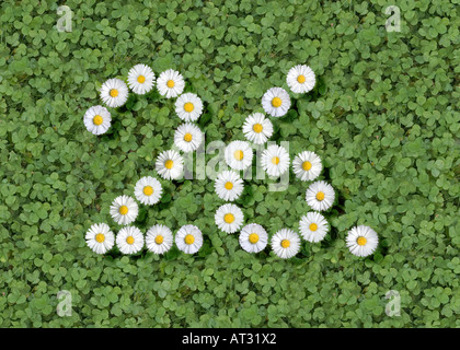 numbers written with flowers 26th Stock Photo - Alamy