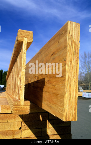 The end view of a laminated header. Engineered lumber product Stock ...