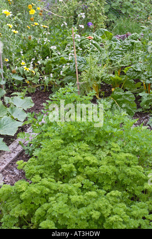 The cottage garden with vegetables herbs flowers for the house a ...