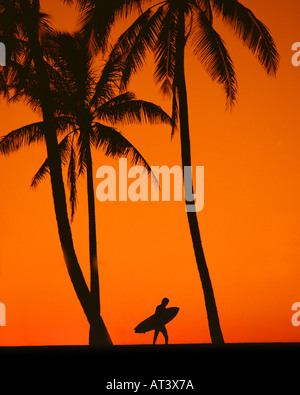 USA - HAWAII: Sunset at Kapiolani Park on Oahu (Digital Art Stock Photo ...