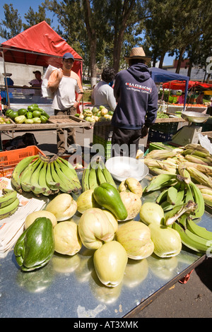 Costa Rican Food Plantain Tourism Gallo Pinto Rice and Beans Paradise ...